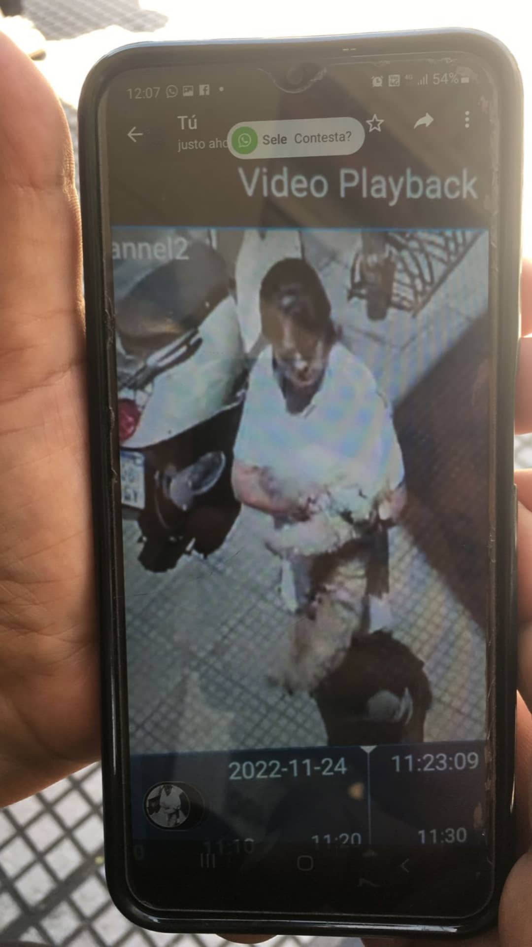 "DEVUELVAN AL CANICHE COCO": EL PEDIDO DE UNA FAMILIA DESESPERADA - VÍA ...
